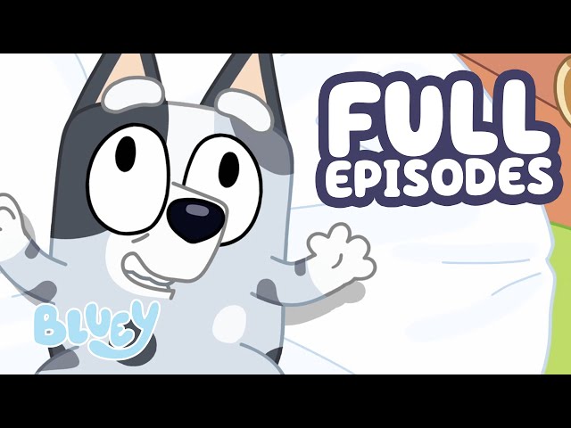 30 Minutes of Muffin Full Episodes! 🩶 | FOUR Bluey Full Episodes ...