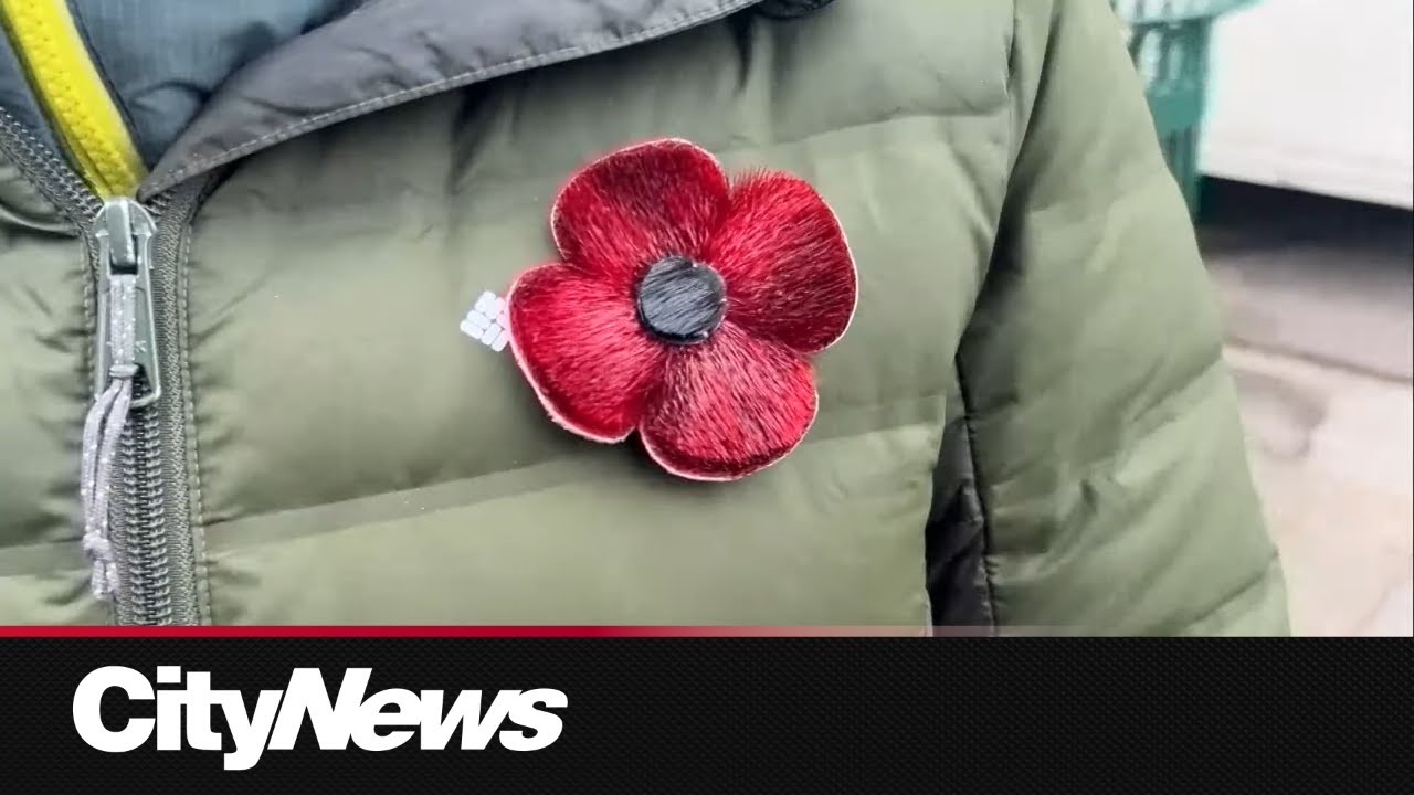 Wearing poppies for Remembrance Day - YouTube