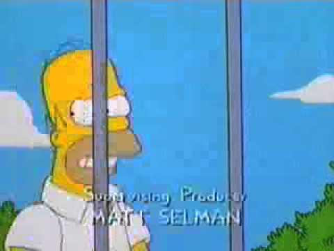 Homer buys a computer - YouTube