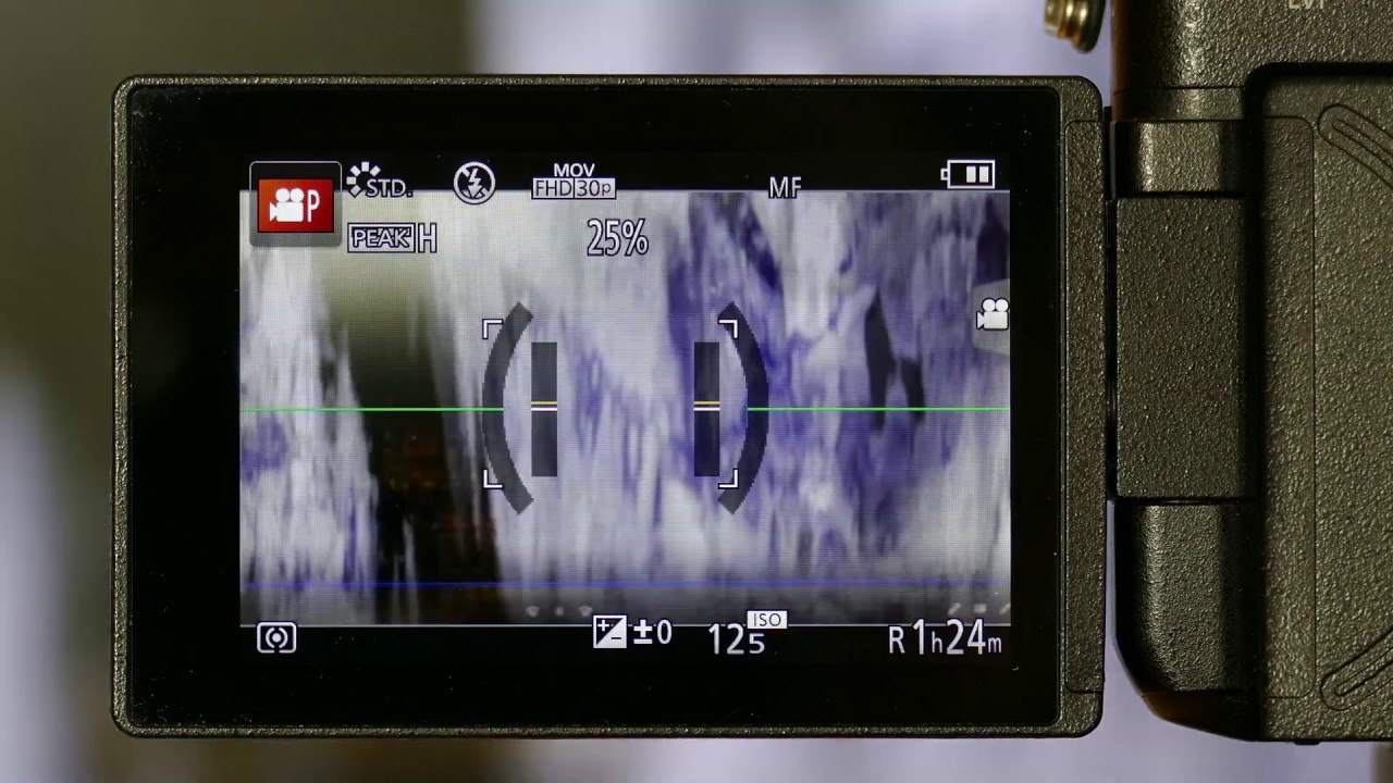 Lumix FZ2000 / FZ2500 How to set Variable Frame Rate 25% / 120fps Video Samples / Quick Tip EN ...