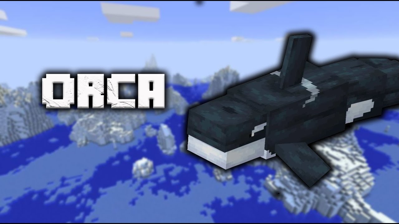 Orca - Alex´s Mobs 1.18.2 - YouTube
