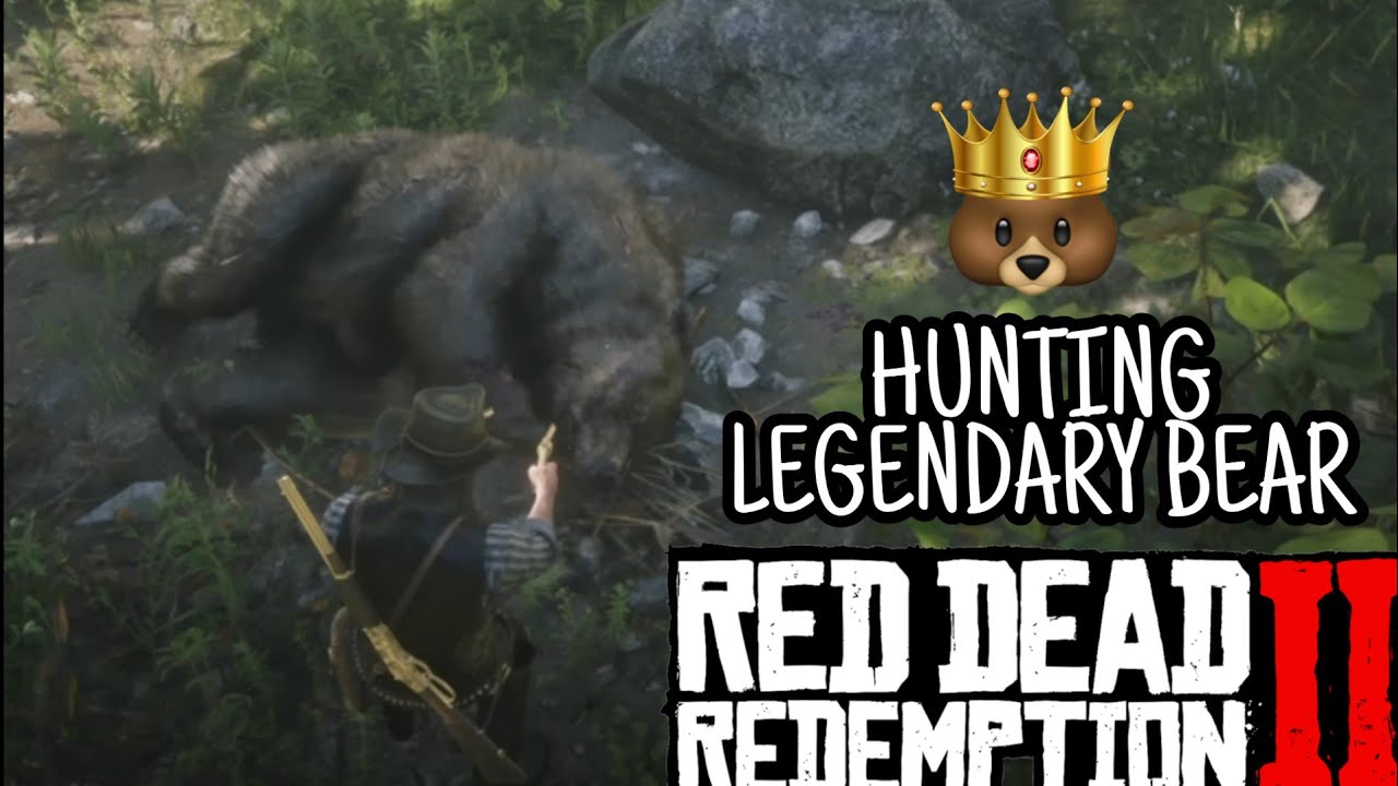 Hunting the Legendary Bear (RDR2) - YouTube