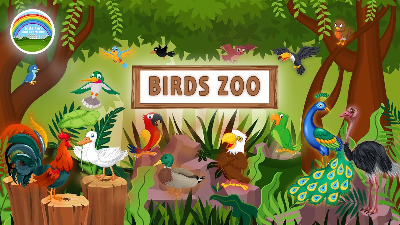 Learn Birds Zoo - Kids Cartoon - Educational Videos For Kids - YouTube