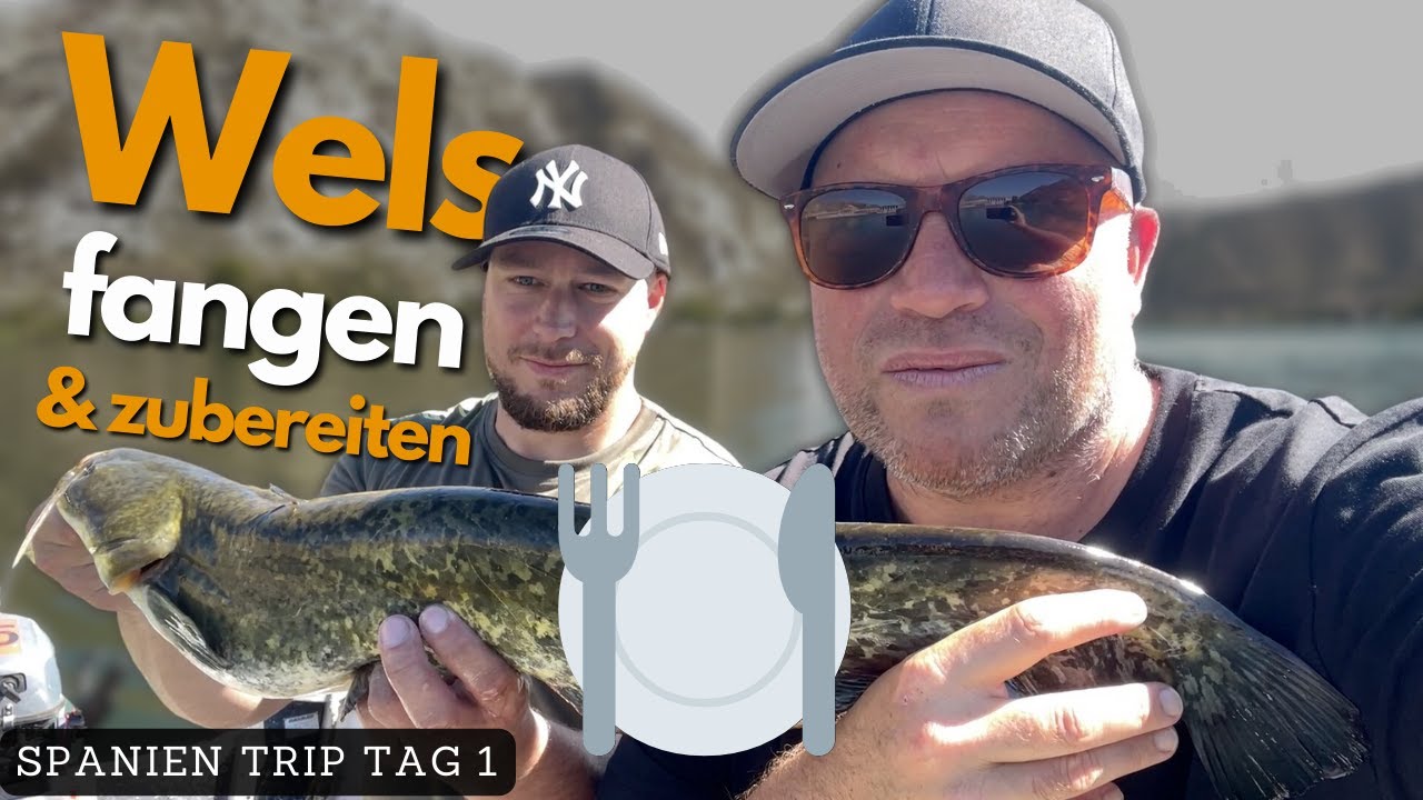 Wels und Schwarzbarsch auf Sicht fangen! Inklusive Catch & Cook - YouTube