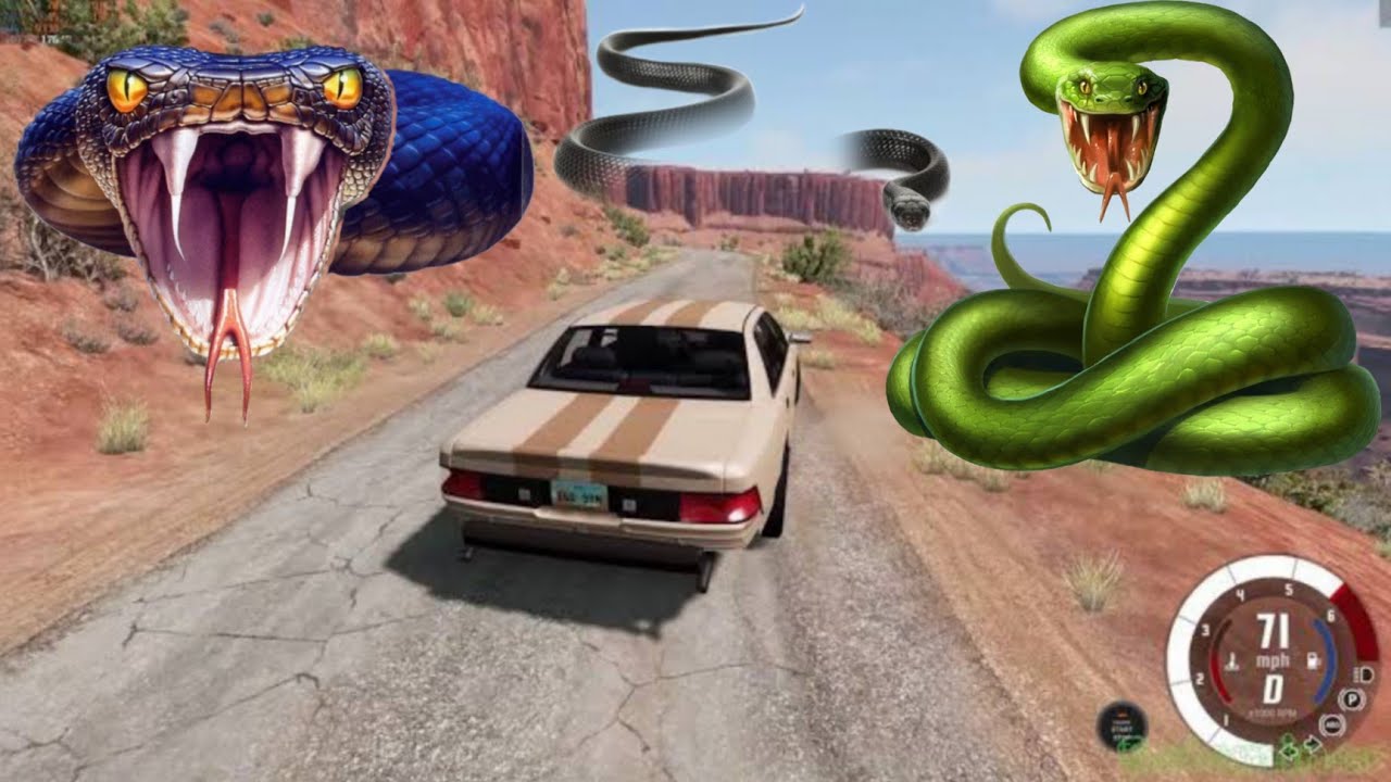 High Speed Car vs Giant Anaconda | Giant Snake infront of Super car ...