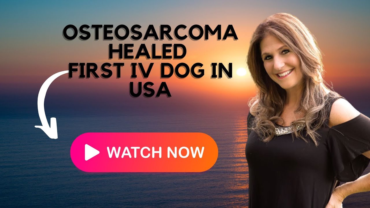 First IV Dog In America! Healing Osteosarcoma! - YouTube