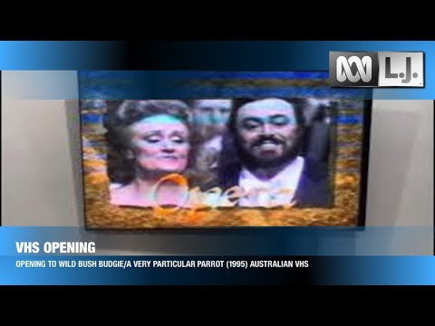 Opening to Wild Bush Budgie/A Very Particular Parrot (1995) Australian ...