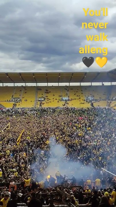 You'll never Walk alleng (Jupp Ebert) - Platzsturm Aufstieg 2024 - Alemannia Aachen 🖤💛 - YouTube
