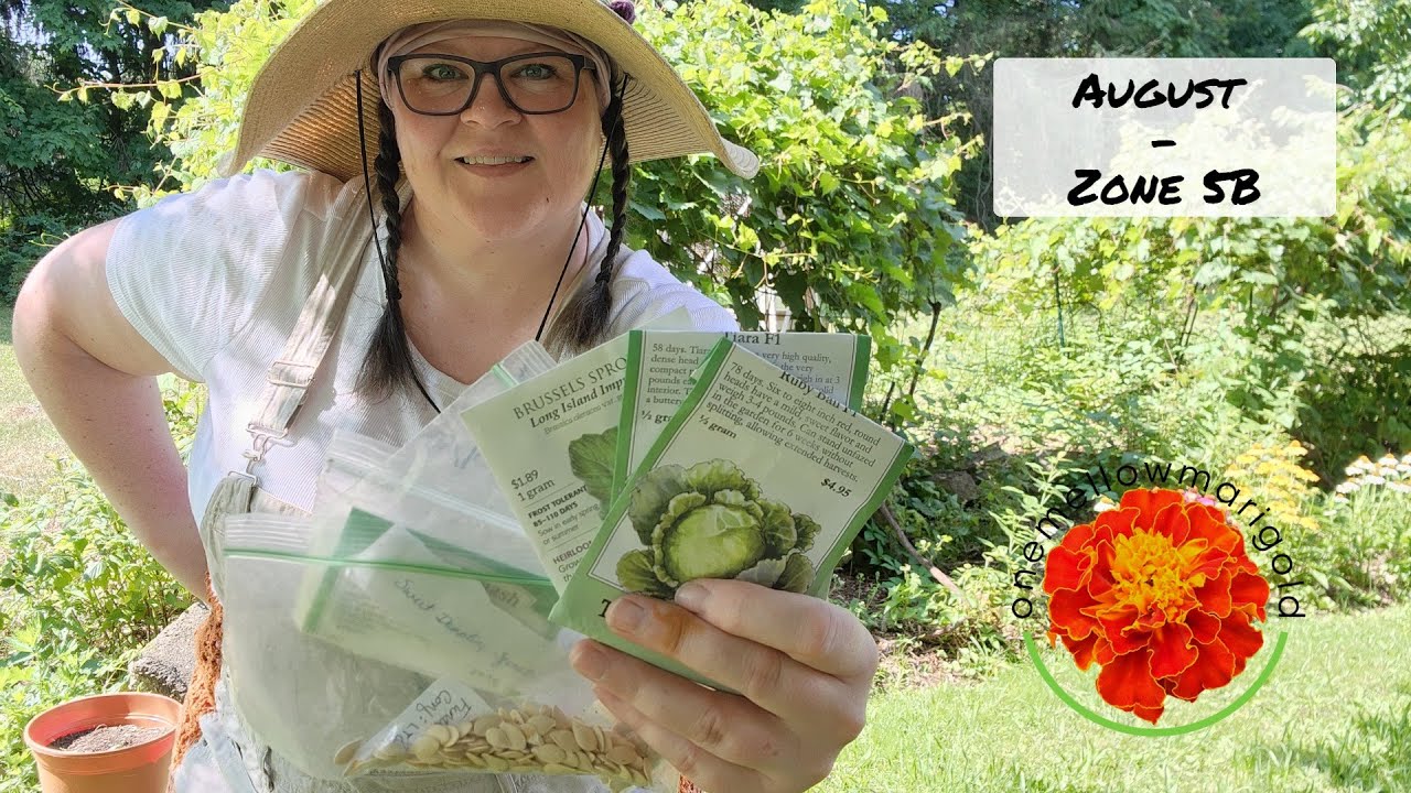 5 Things I'm Planting for August [Zone 5b] - YouTube