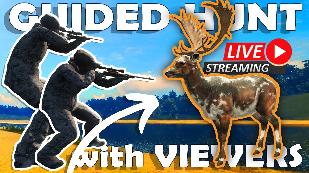 Guided DIAMOND Hunt with VIEWERS!!! - We are LIVE!!! - YouTube