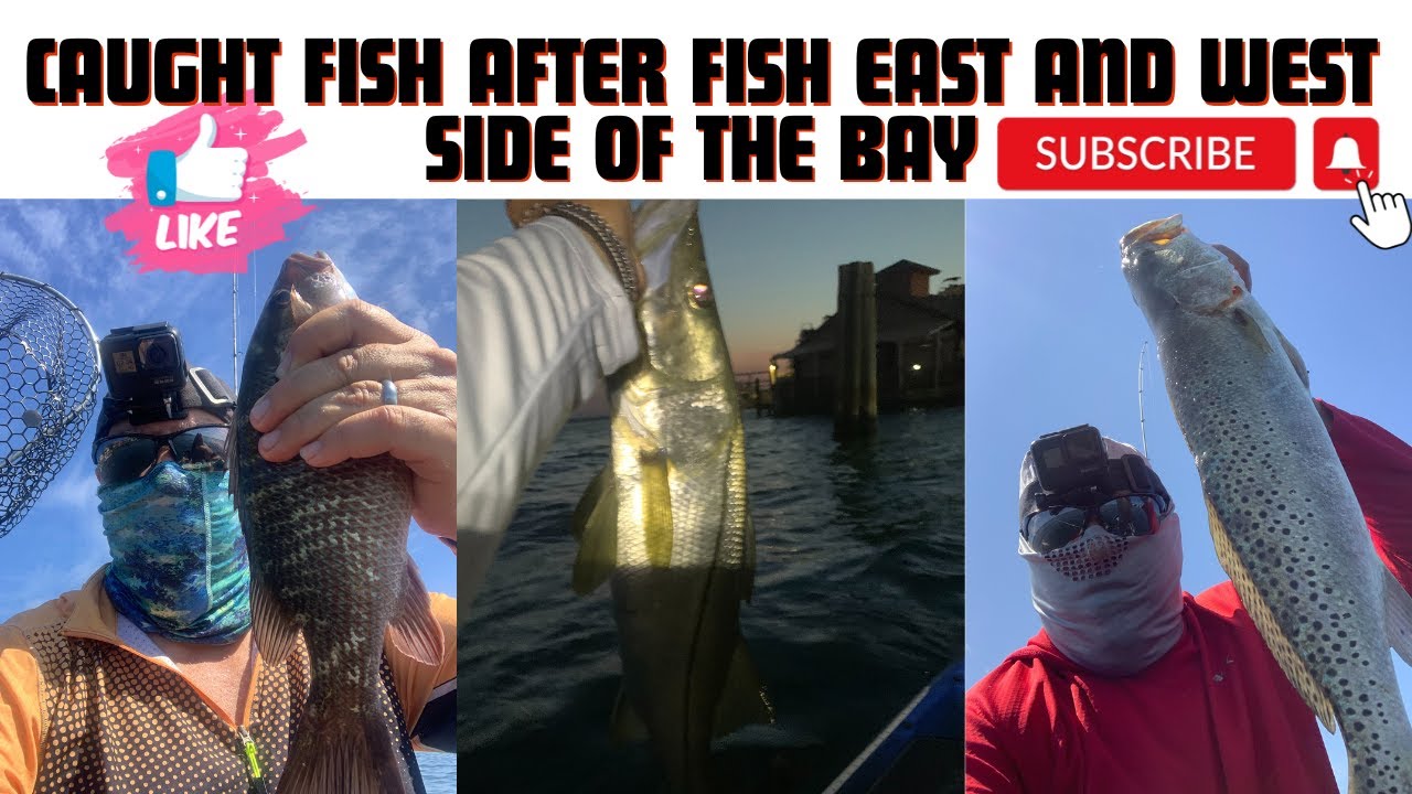 Nonstop action fishing day in Paradise, catching fish after fish 🎣that ...