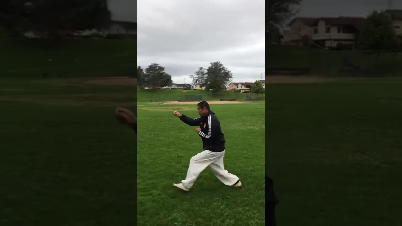 Pi Quan: Hebei Style Xingyi - YouTube