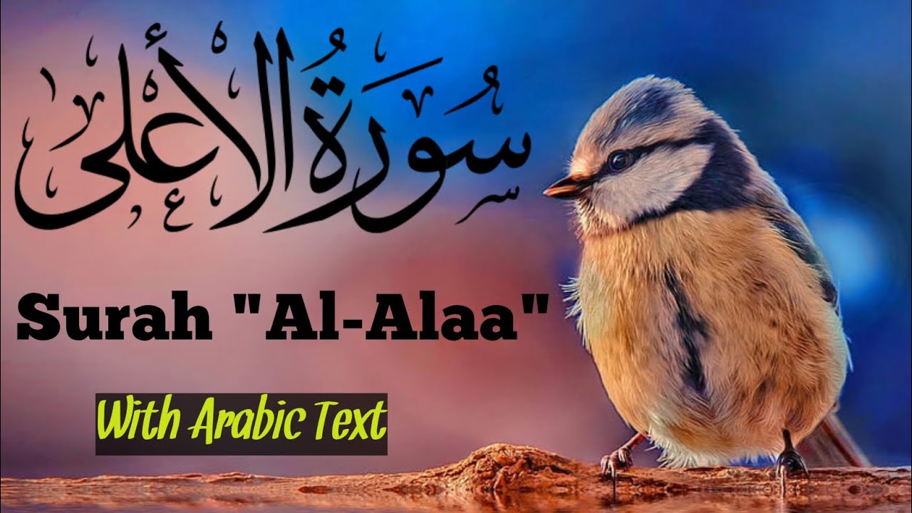 Surah Al-Alaa Full with arabic Text By!Hafiz Muhammad Ismail."سورت ...