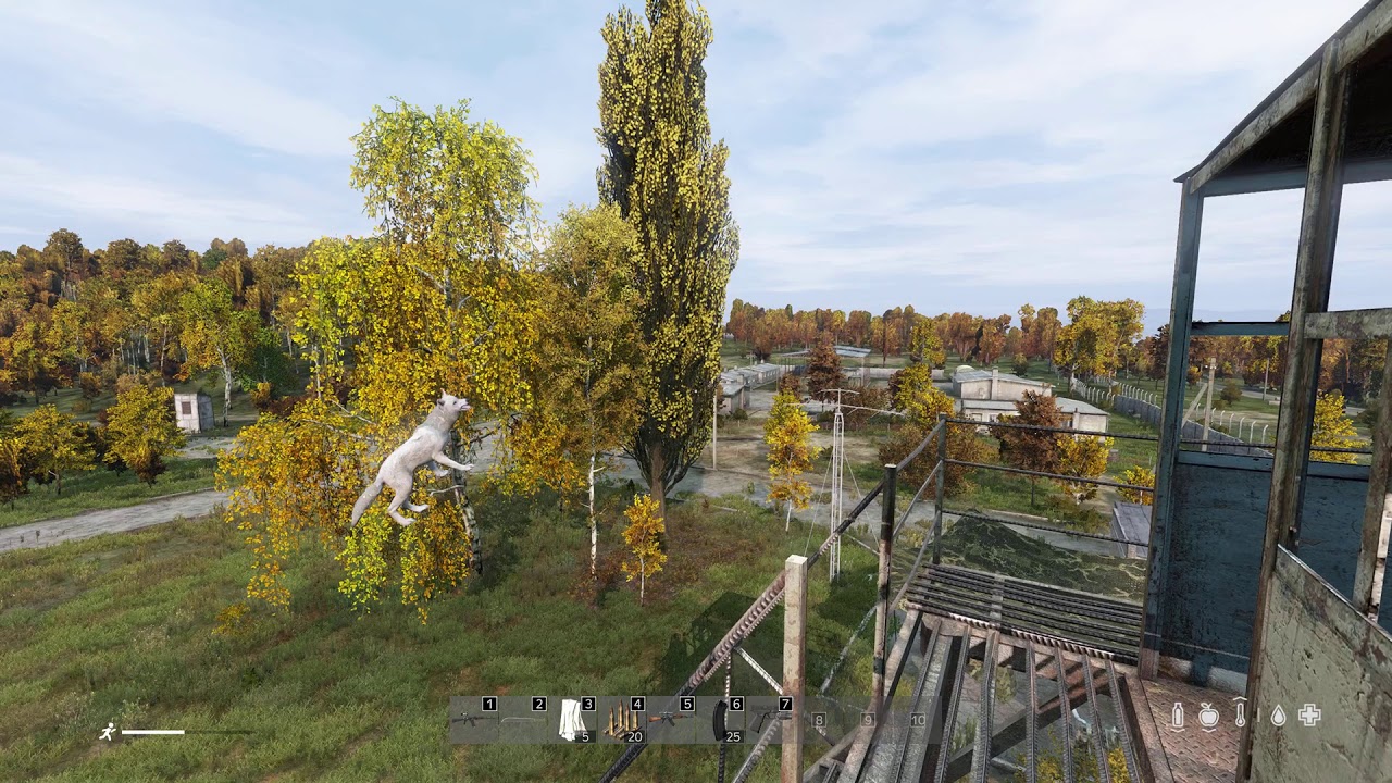 DayZ : Zeds and Zombies at Tisy Military Base. - YouTube