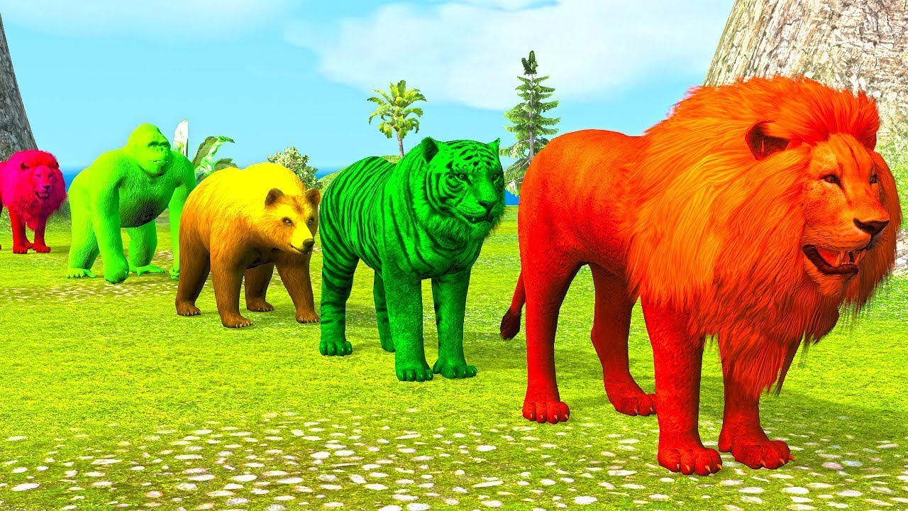 Random Paint Animals Names and Sounds | Lion, Gorilla, Tiger, Cat, Dog ...