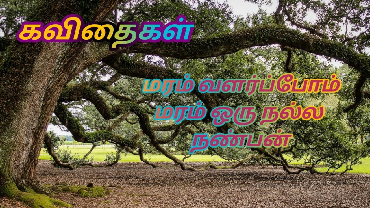 maram kavithai kavithaigal | மரம் வளர்ப்போம் மரம் ஒரு நல்ல நண்பன் ...
