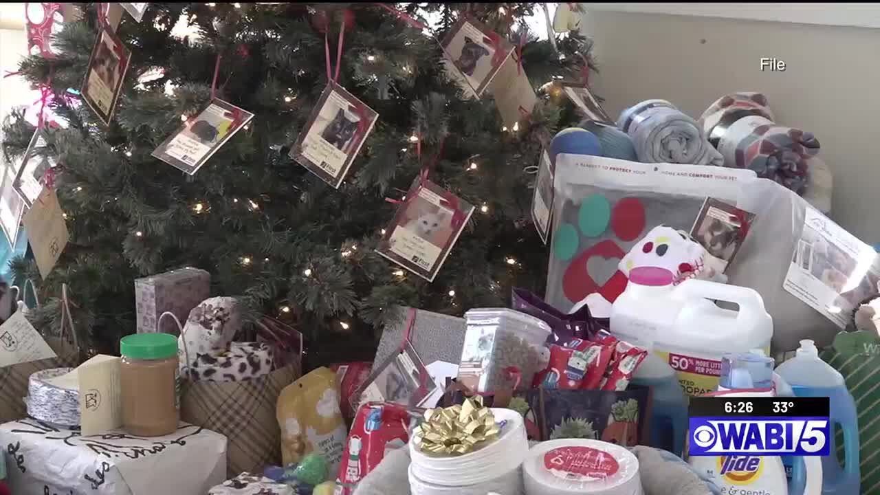 Pope Memorial Humane Society grateful for outpour of support during ...