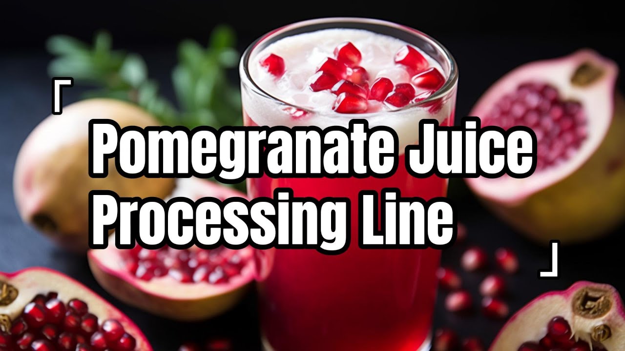 Automatic Pomegranate Juice Processing Line | Washing → Peeling → ...