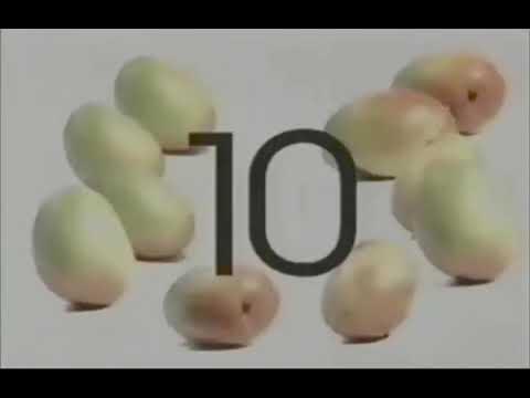 Latin count to 10 English and Spanish - YouTube