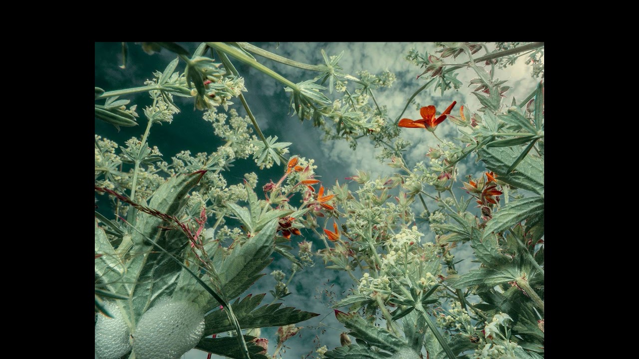 Bist du bei mir, J.S.Bach (BWV 508). Balabini-Kalopana - YouTube