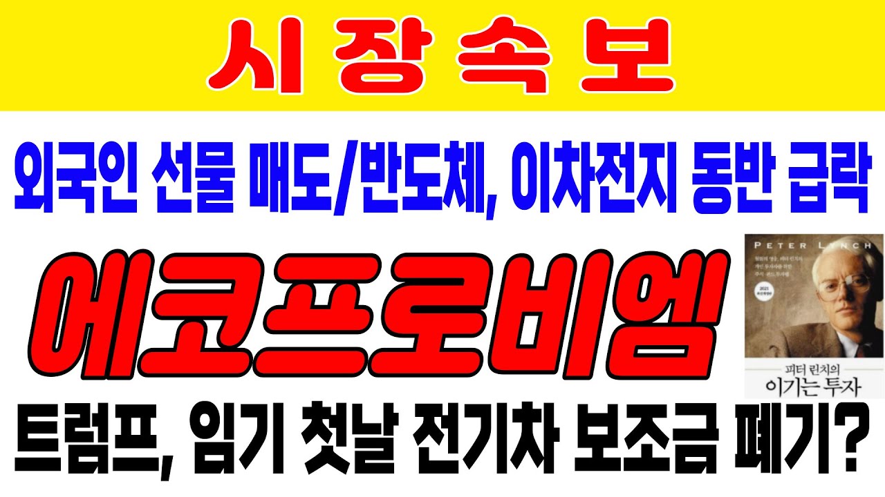 에코프로비엠 트럼프 임기 첫날 전기차 보조금 폐기 외국인 대규모 선물매도에 반도체 2차전지 동반 급락 실적이 좋은 기업