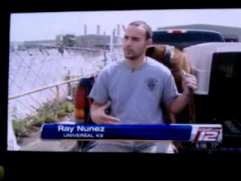 Channel 12 KSAT News Cast Universal K-9 2/27/2012 - YouTube