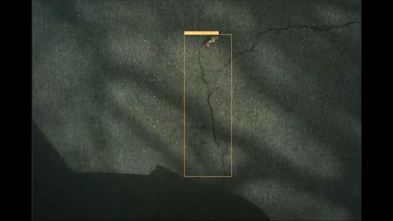 Pavement Distress Detection Demo Using YOLOv7 2023 - YouTube