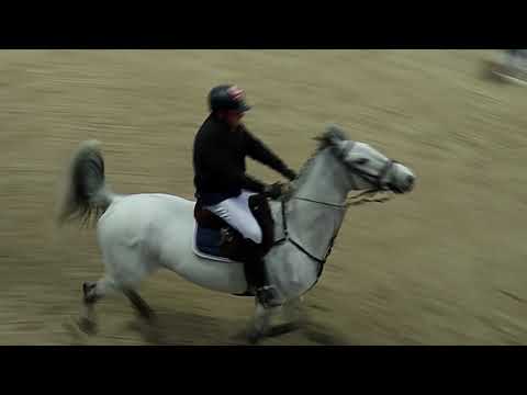 Hasan Şentürk - Quick Silver - 7.03.2021 Burak İncircioğlu Kupası 135 cm Dördüncüsü