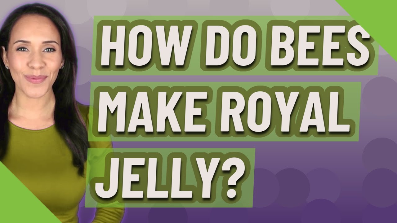 How do bees make royal jelly? - YouTube