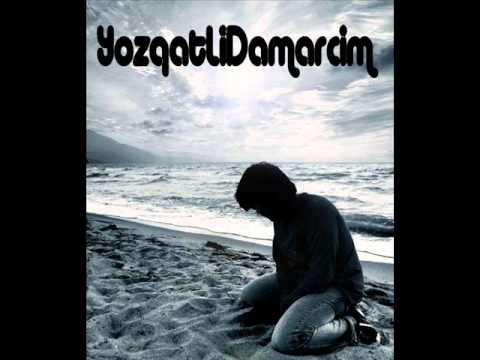 ALİ NAFİLE Cok Özledim Canım Seni (DAMARA DEVAM)