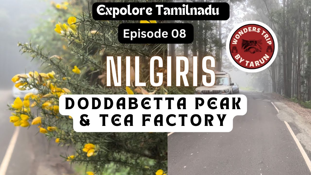 Doddabetta Peak | Highest mountain in Tamil Nadu |Tea & Chocolate ...