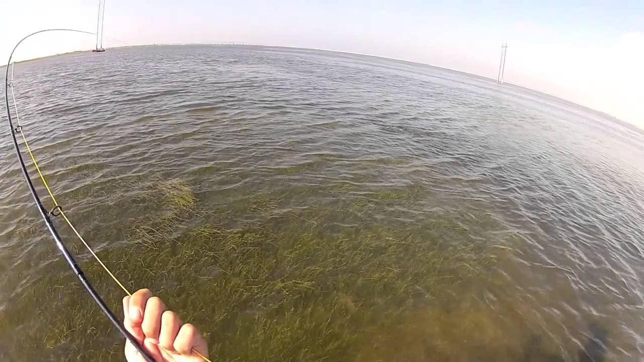 Tailing Red Drum On A Fly Laguna Madre Fishing - YouTube