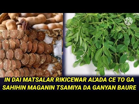 IN DAI MATSALAR RIKICEWAR AL'ADA CE TO GA SAHIHIN MAGANIN TSAMIYA DA GANYAN BAURE FISABILILLAH