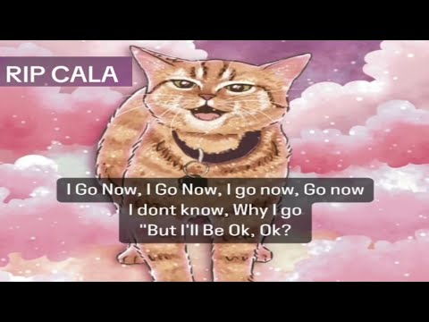 RIP CALA 🕊️ (I Go Meow Cat) #RIPCALA #CAT #TIKTOK - YouTube