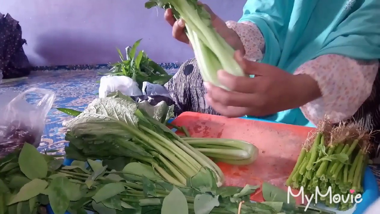 Part1:Cara memanfaatkan sisa batang sayuran menjadi tanaman sayur baru ...