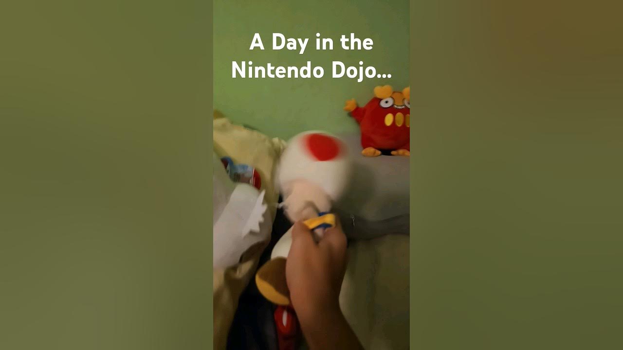 NINTENDO DOJO BE LIKE: #plush #funny #memes #supermario #nintendo # ...