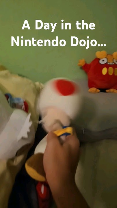 NINTENDO DOJO BE LIKE: #plush #funny #memes #supermario #nintendo # ...