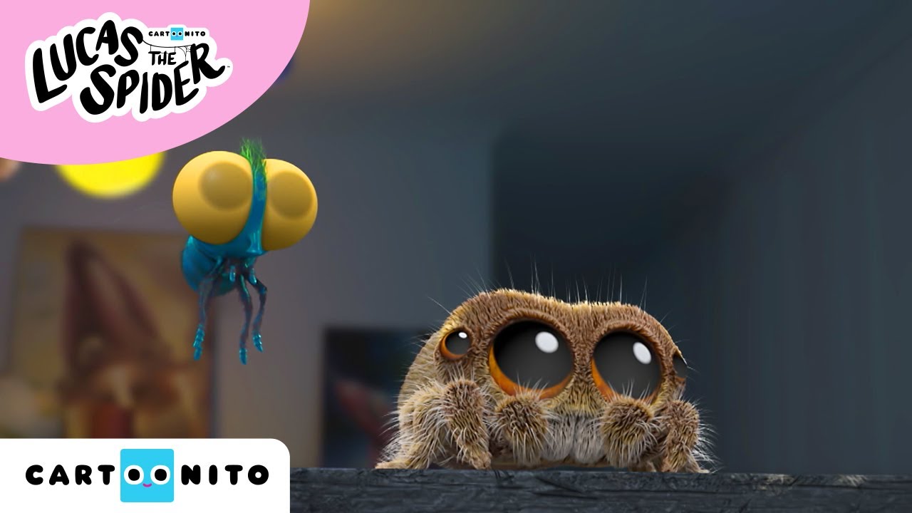 Lucas die Spinne | Malen mit Lucas | Cartoonito - YouTube