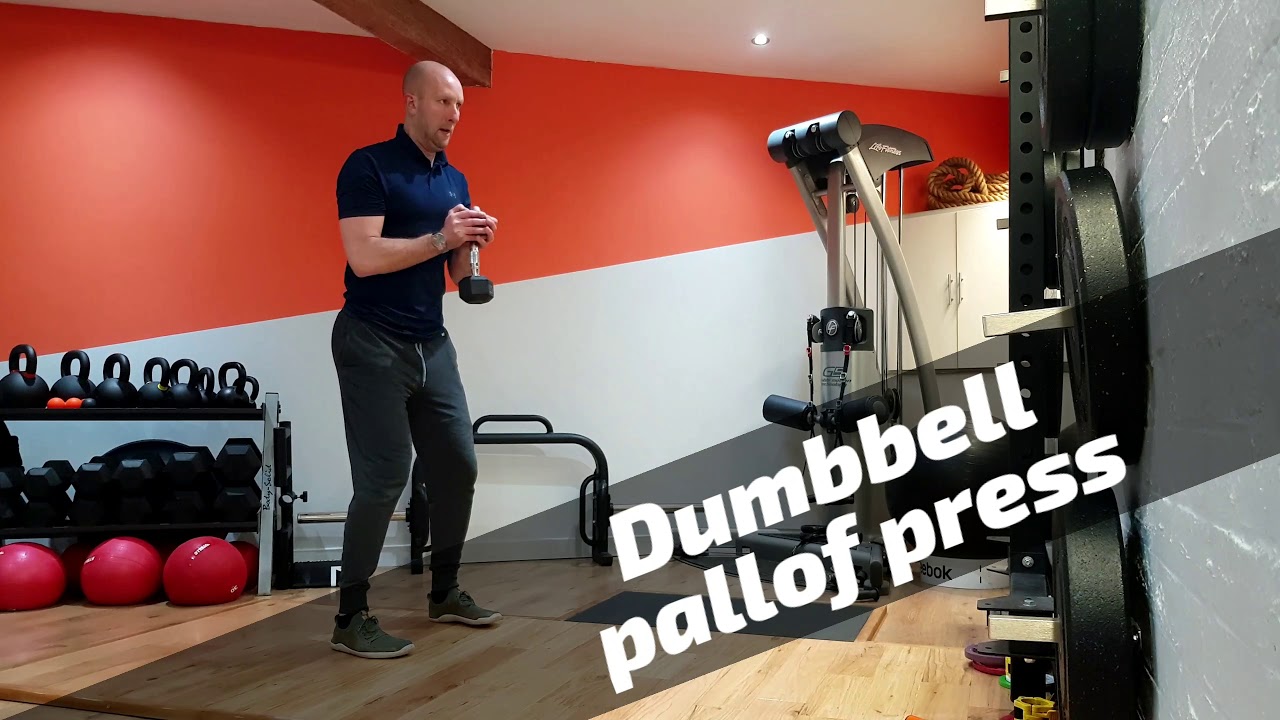Dumbbell Pallof Press - YouTube