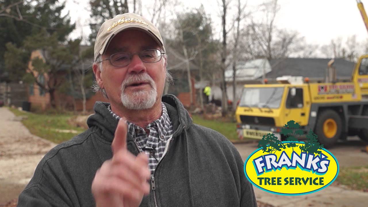 Why Hire Frank's Tree Service? - YouTube