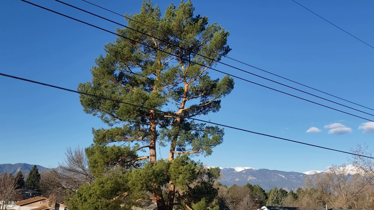 Colorado Springs Weather Report YouTube colorado-springs-weather-report-youtube