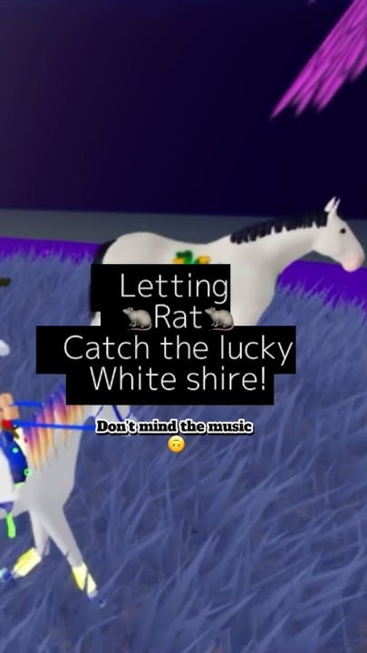 Letting 🐀Rat🐀 Catch the lucky white shire || Don’t mind the music ||Pebbles WHI || - YouTube