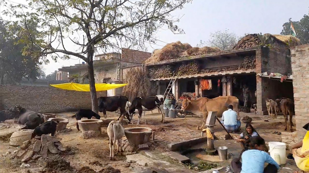 varanasi village life | Indian village | Rural India - YouTube