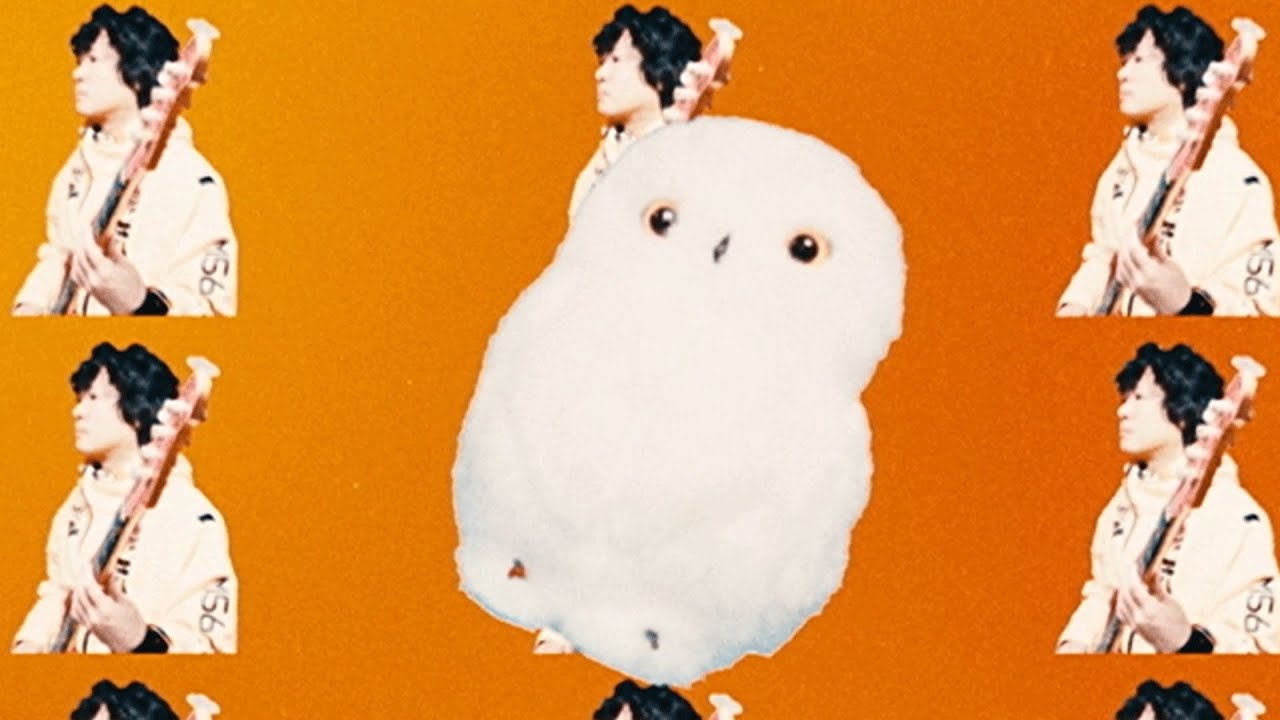 POLTA『2021』【MV】 - YouTube