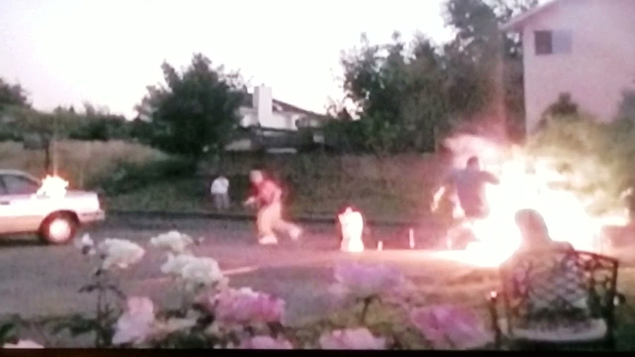 AFV fireworks fever on Disney Plus 🎆 - YouTube