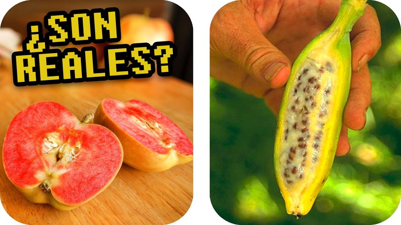 ASÍ ES COMO DEBERÍAN VERSE LAS FRUTAS REALMENTE (Si no las hubieran ...