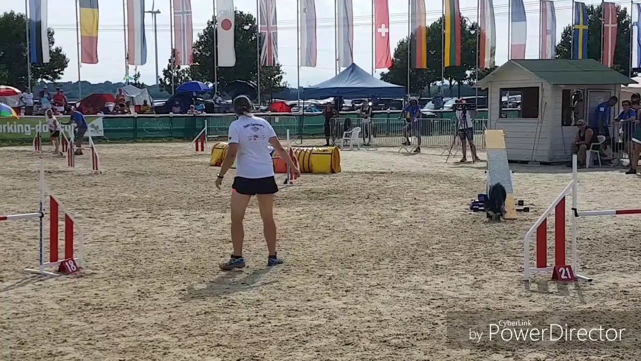 Agility European Open 2018 - YouTube