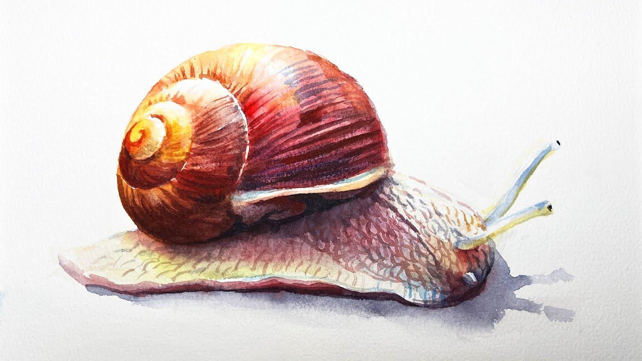 Watercolor painting of a snail (plus painting marathons) - YouTube