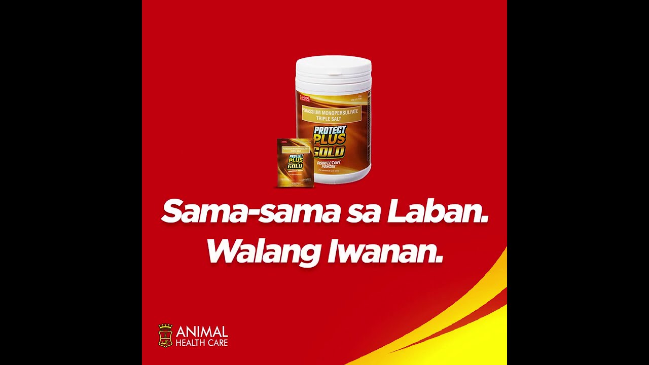 Protect Plus Gold as PROTECTION against Virus - YouTube