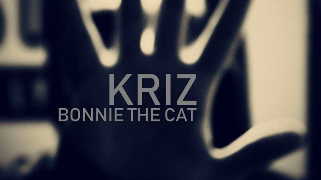 Bonnie The Cat (LISTENING VIDEO) | PORCUPINE TREE COVER - YouTube